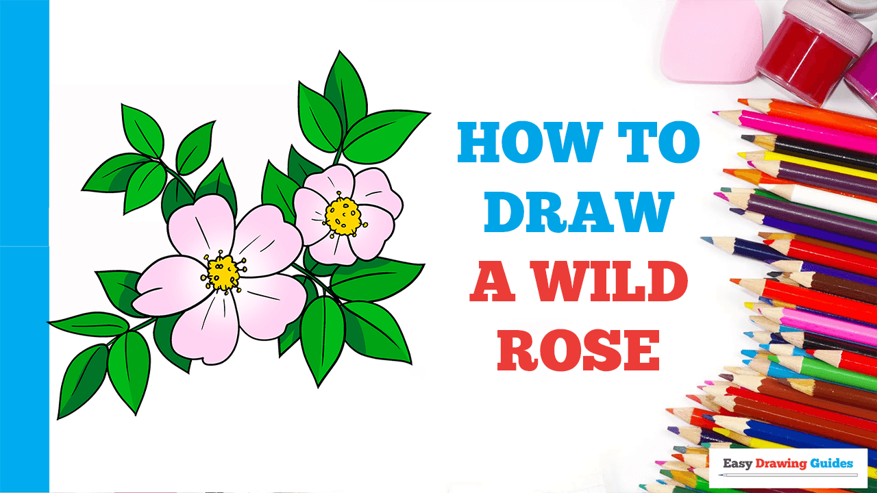how to draw a rose artforkidshub