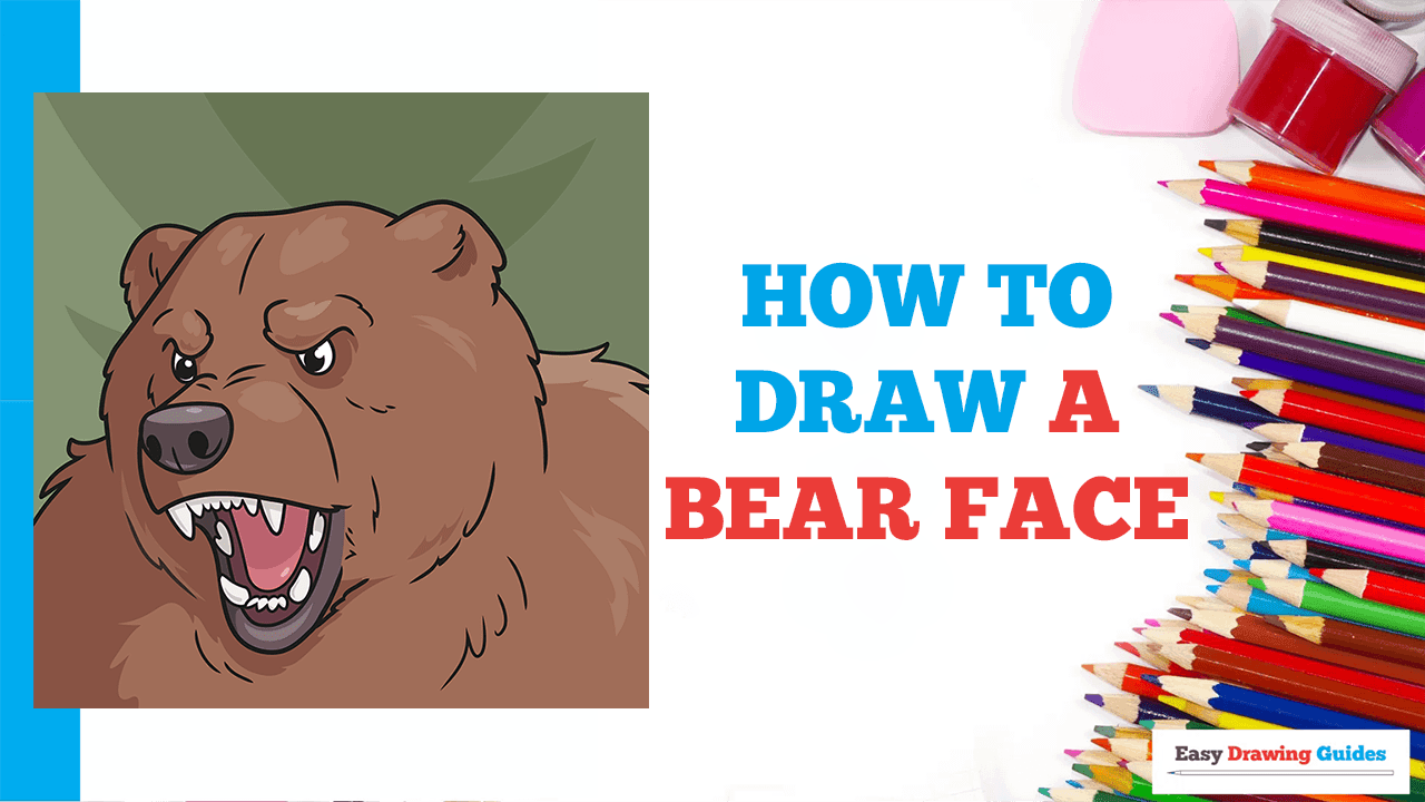 how to draw grizzly bear face step by step