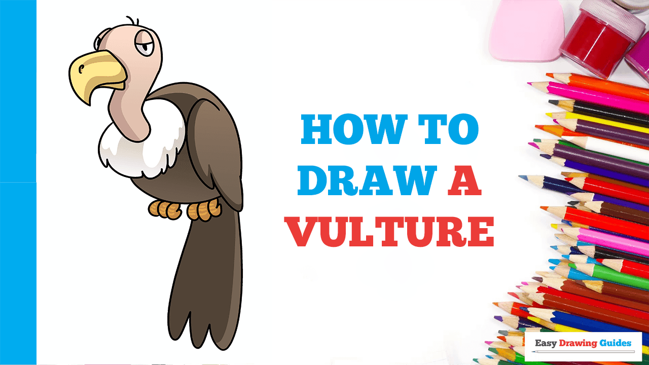 vulture drawing simple
