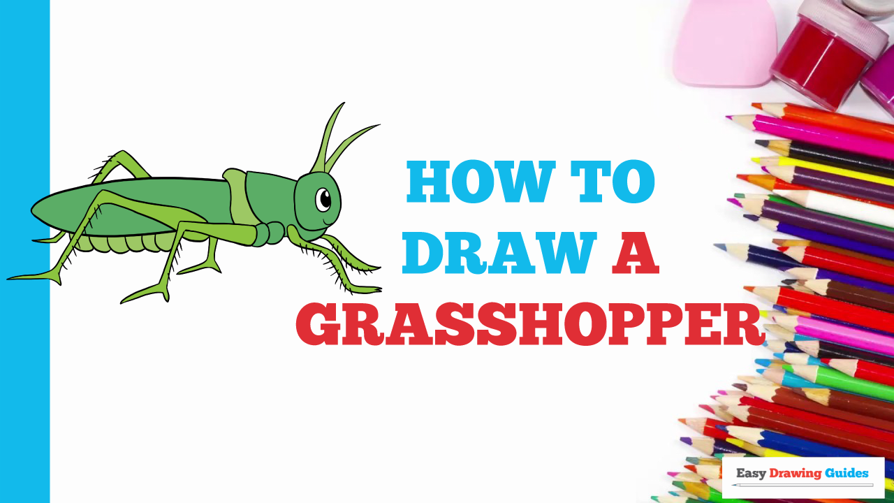 how to draw easy grasshopper