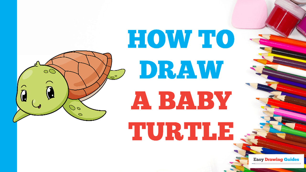 baby turtle drawing tutorial
