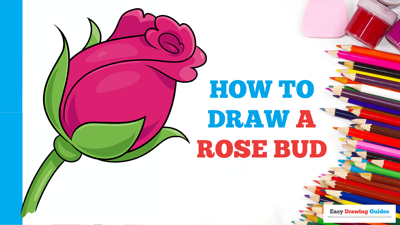 how to draw a rose bud step by step