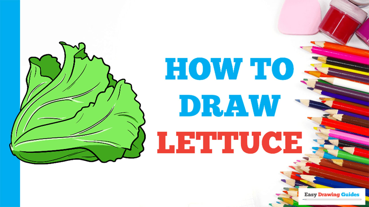 how to draw cartoon lettuce