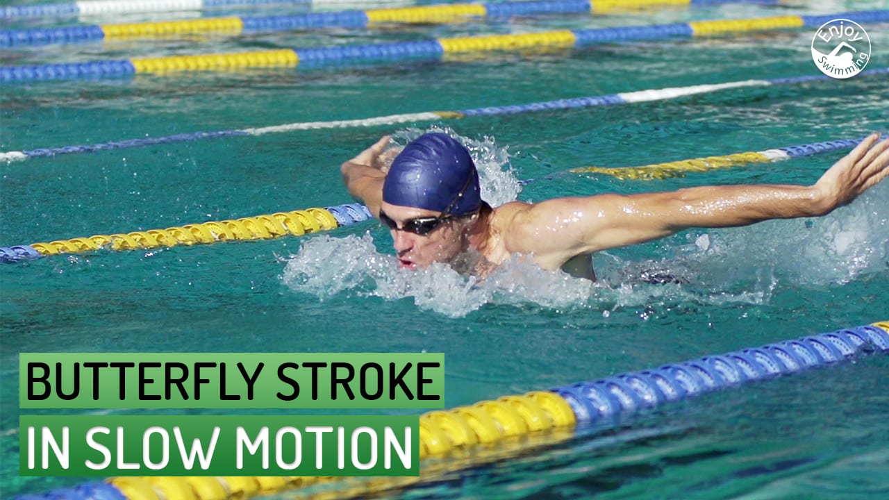 butterfly stroke analysis