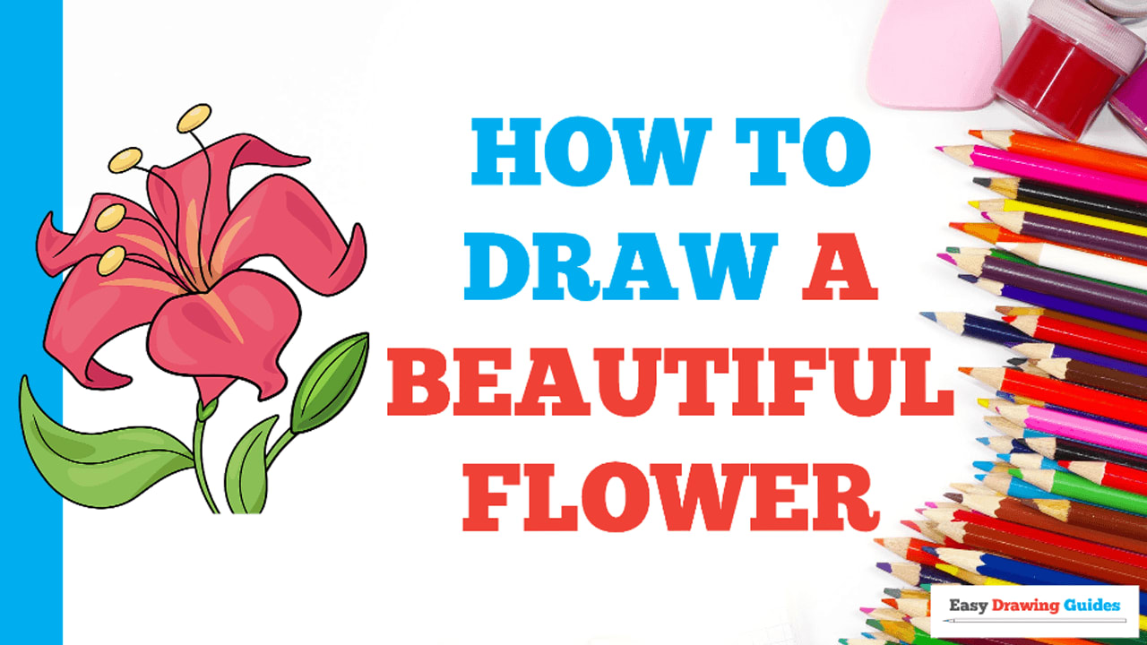 how to draw a jasmine flower easy