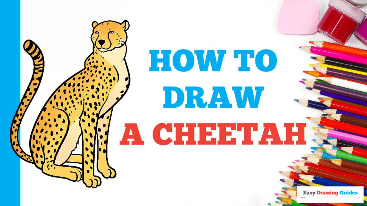 how to draw a cheetah furry