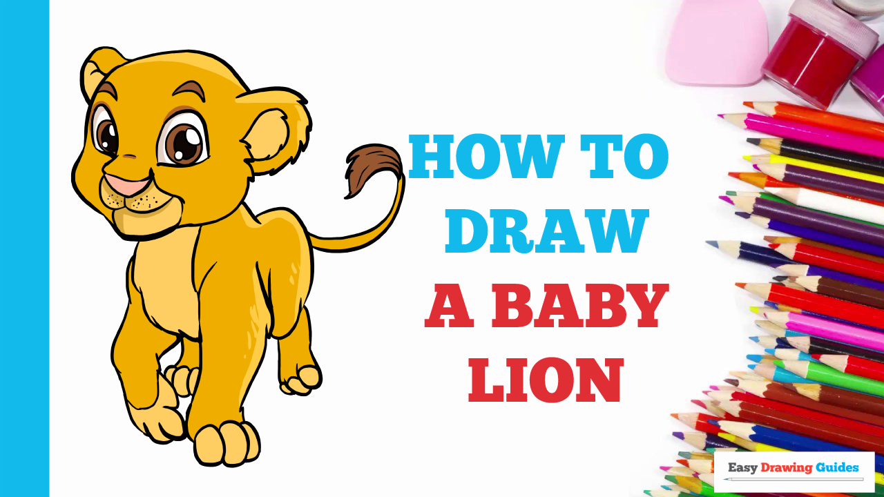 how to draw baby lion step by step