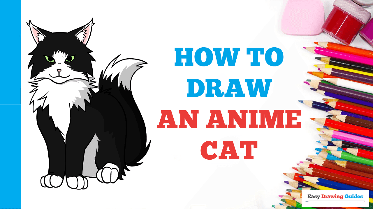 how to draw manga cat