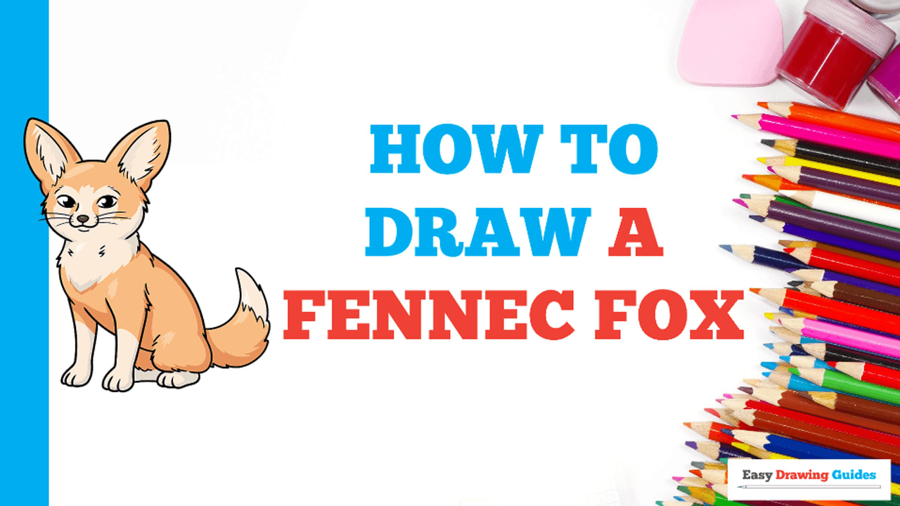 how to draw fennec fox desert