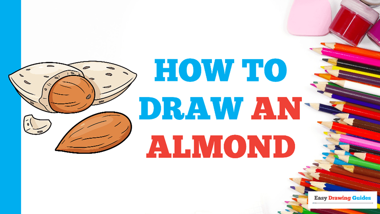 almond drwing