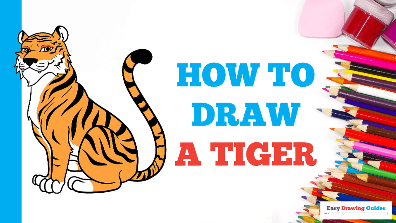 how to draw tiger legs