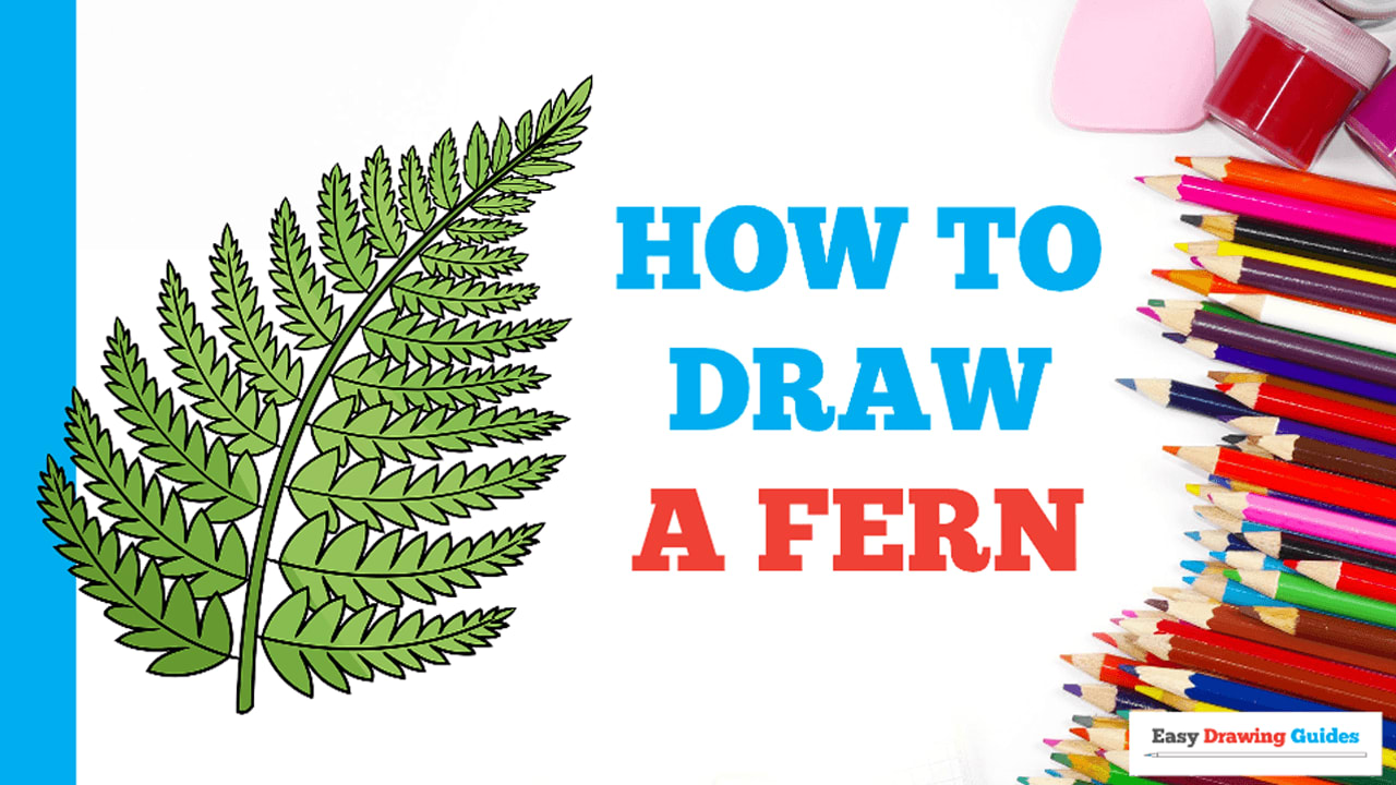 how to draw new zealand leaf