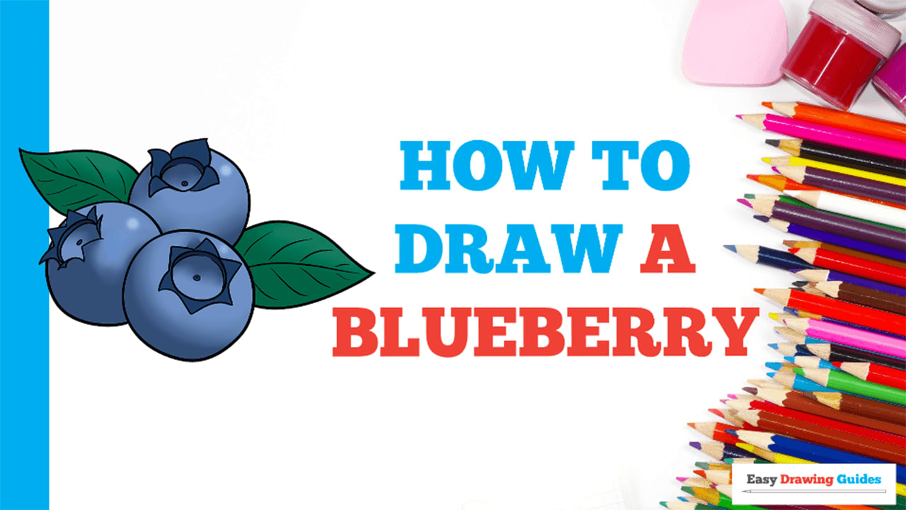 blueberry drawing