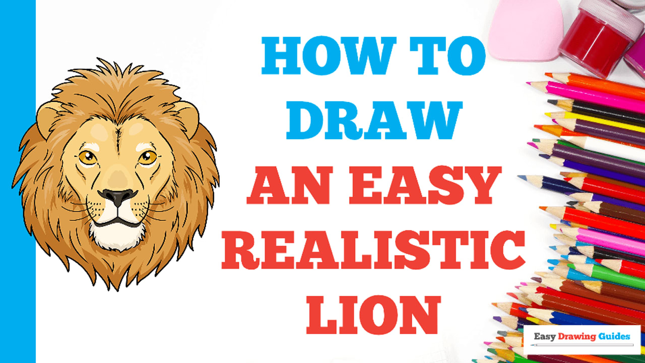 how to draw a realistic lion