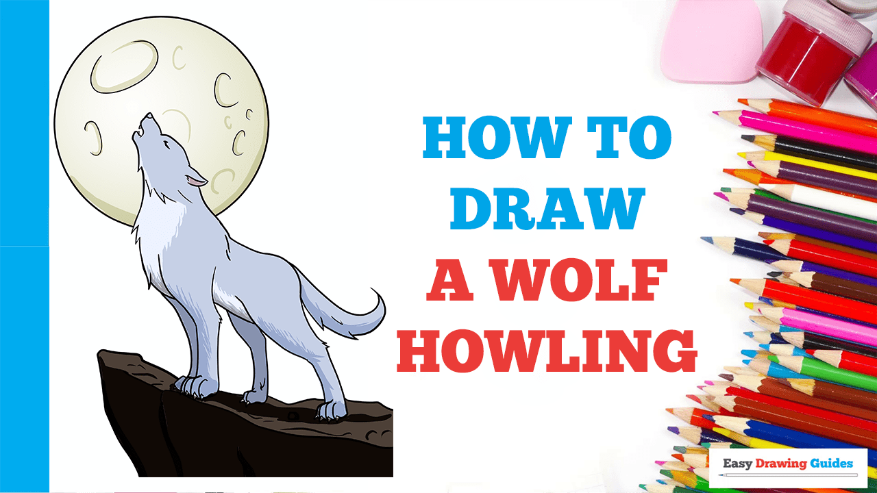 how to draw a wolf head video