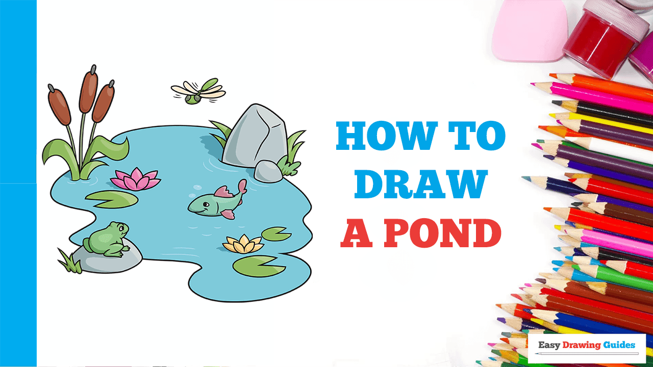 how to draw fish in the pond