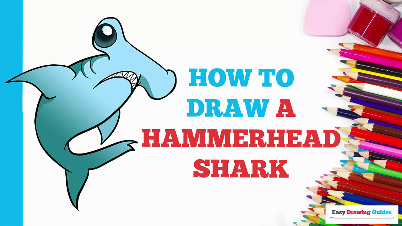 hammerhead shark drawing tutorial