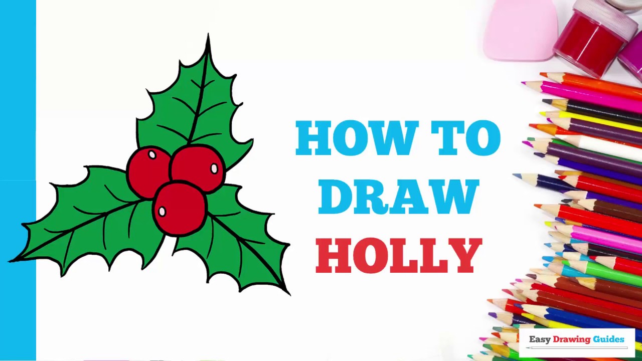 how to draw a holly leaf step by step