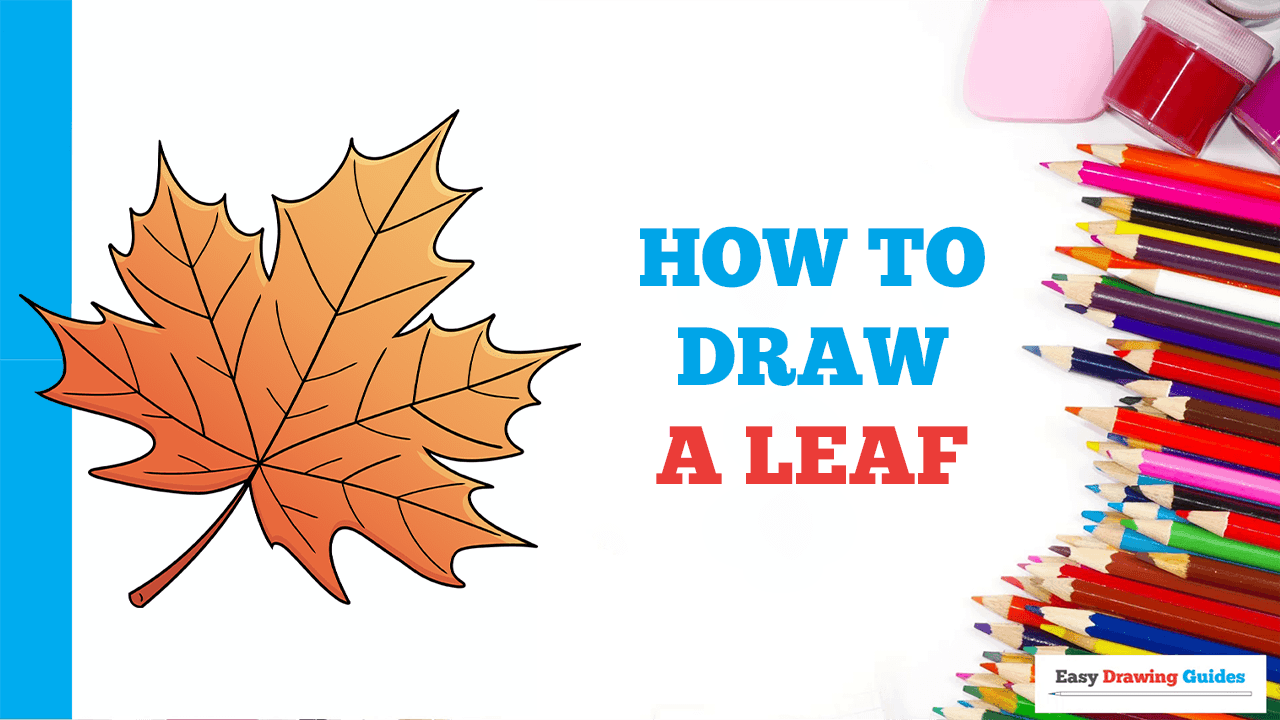 how to draw a leaf easy