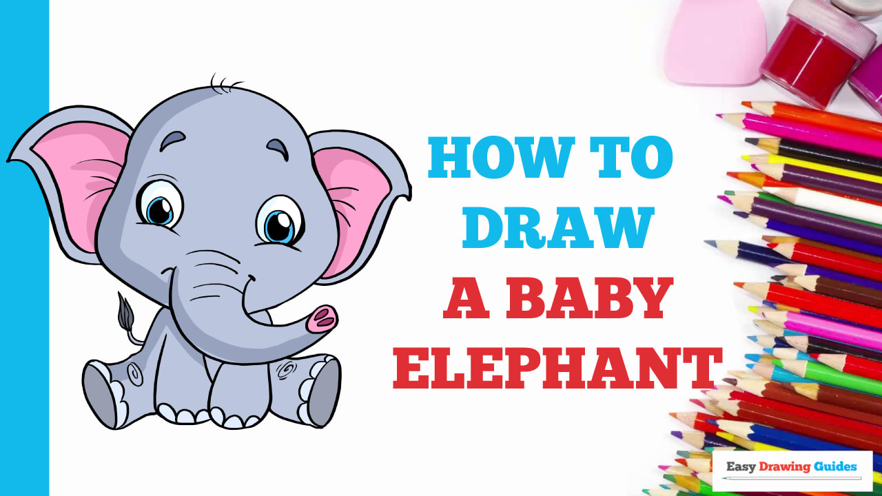 how to draw an elephant guide