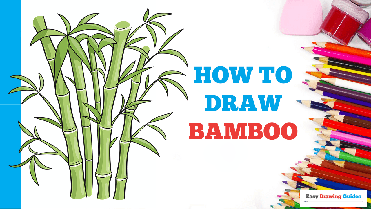 bamboo drawing pencil tutorial