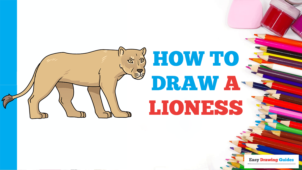 how to draw a lion youtube easy
