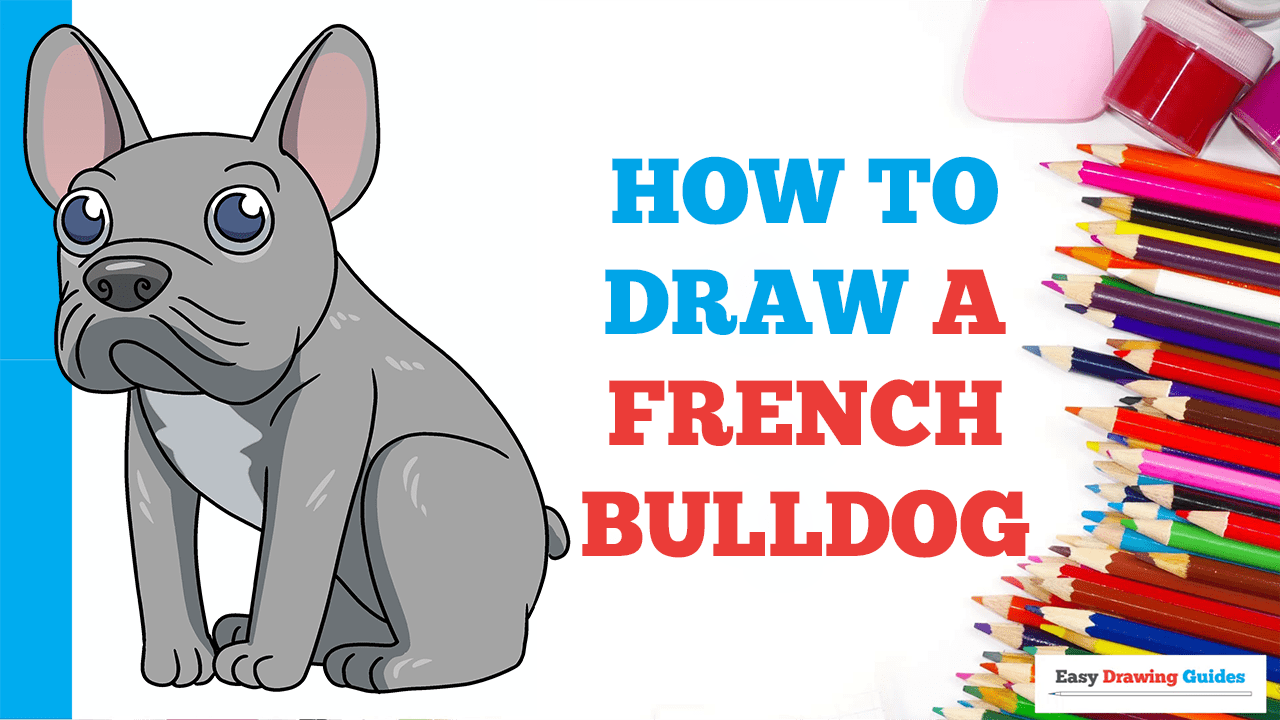 french bulldog drawing for kids