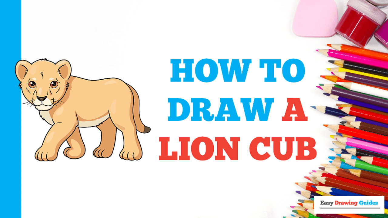 how to draw a lion cub step by step easy