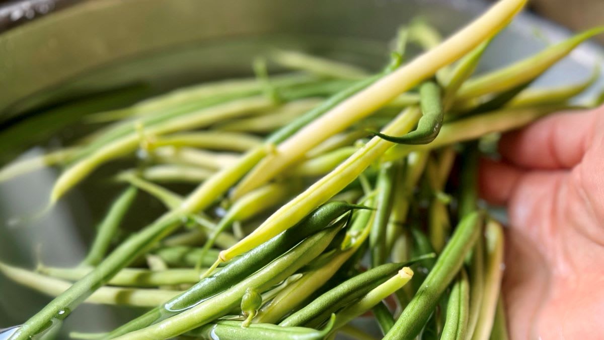how to prepare green and yellow beans for freezing