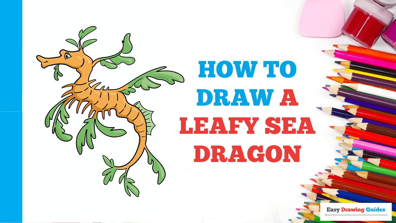 how to draw a dragon art hub