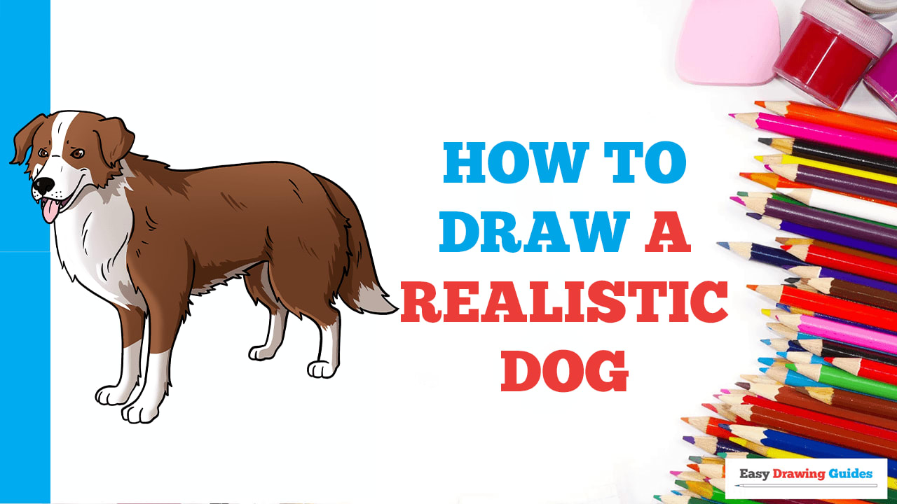 how to draw realistic dog easy