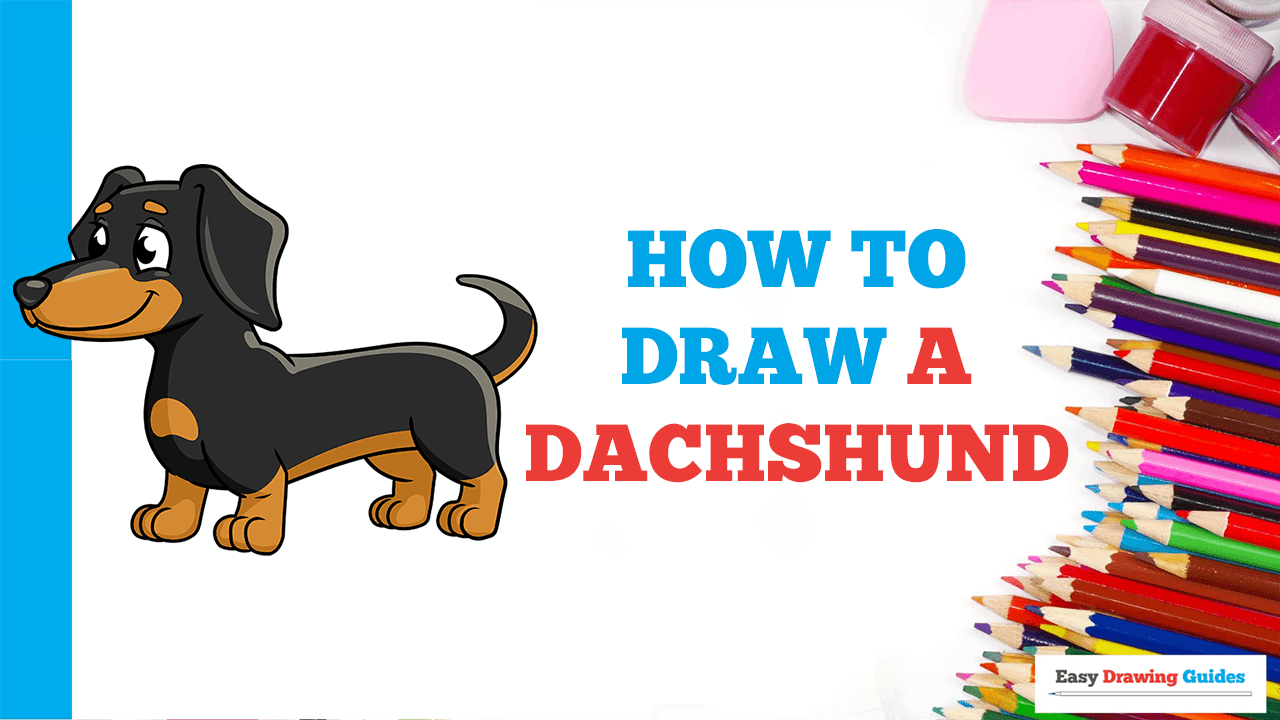 how to draw wiener dog video