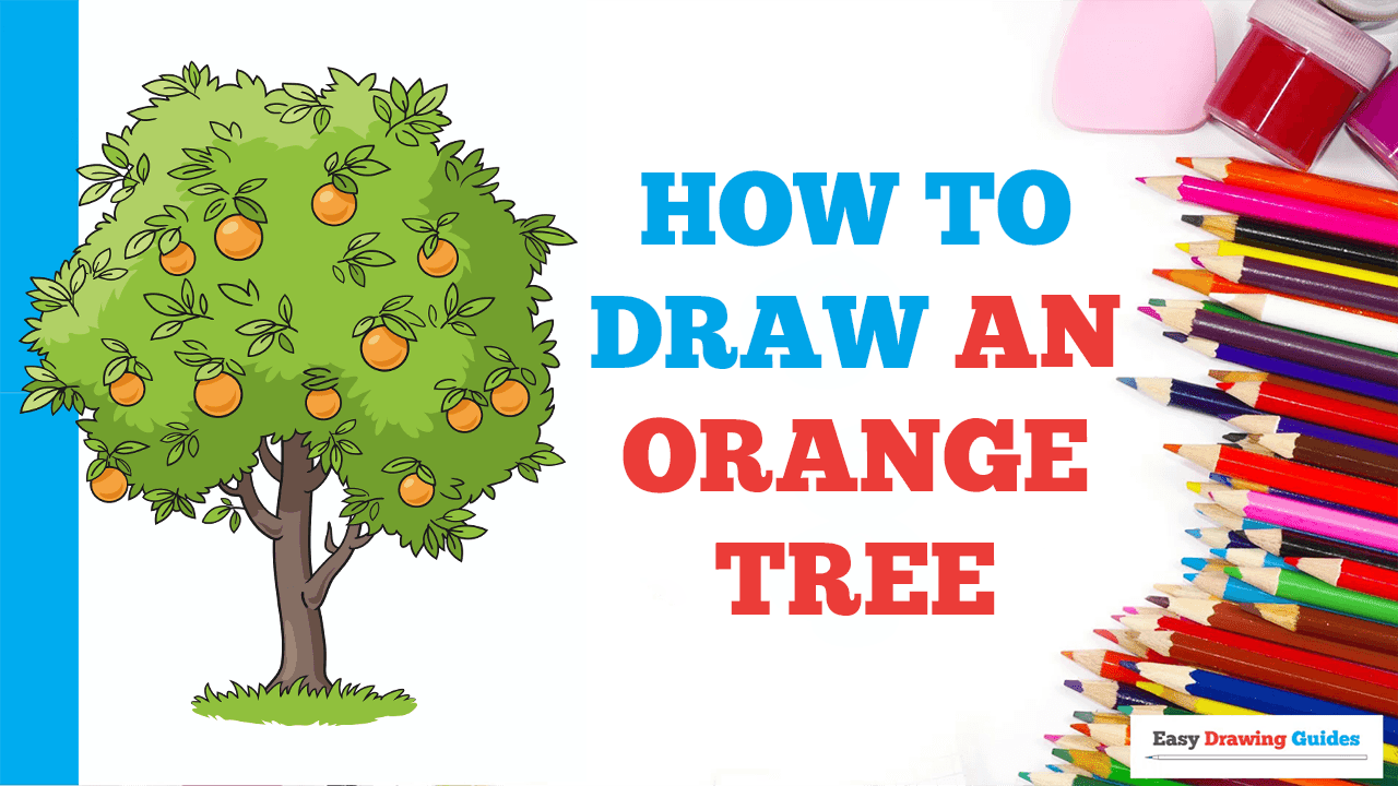 how to draw a orange tree step by step