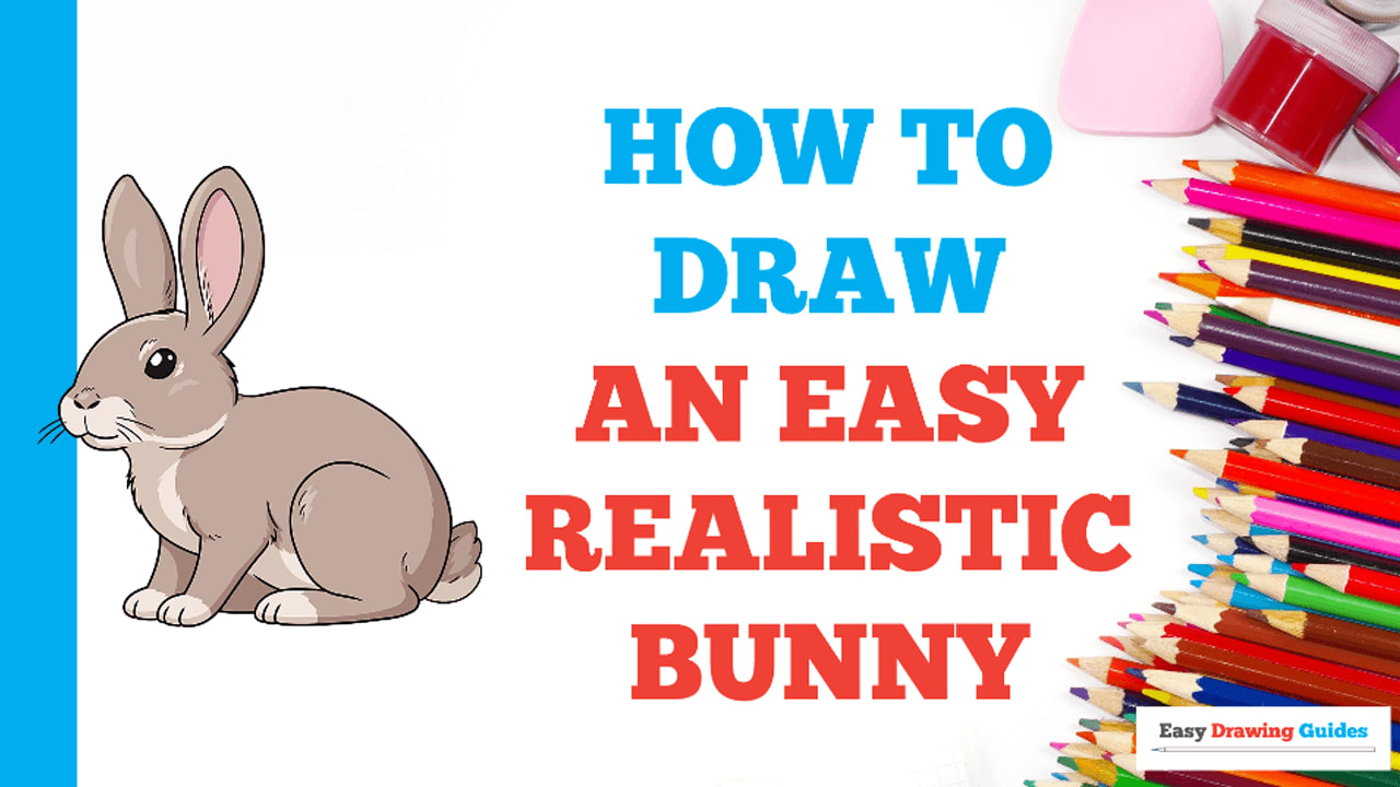 how to draw realistic rabbit