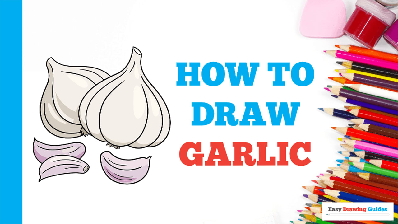 draw a garlic