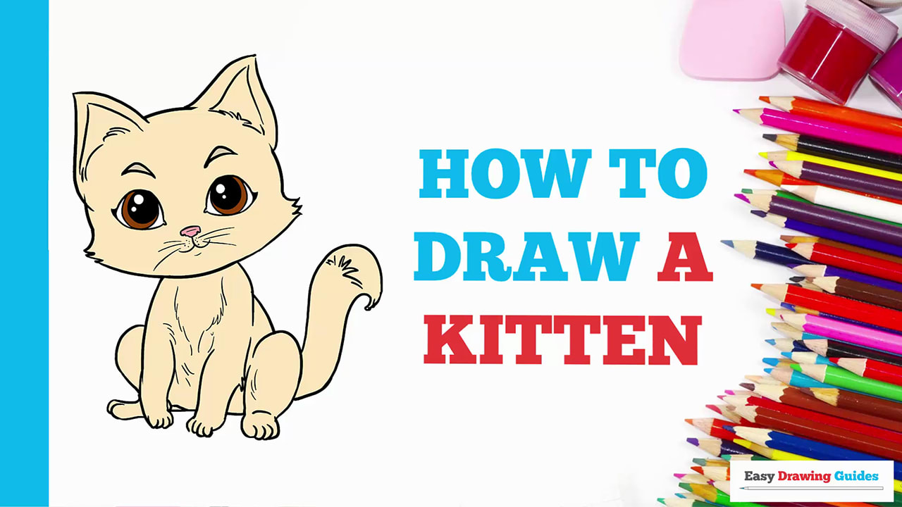 how to draw kitten