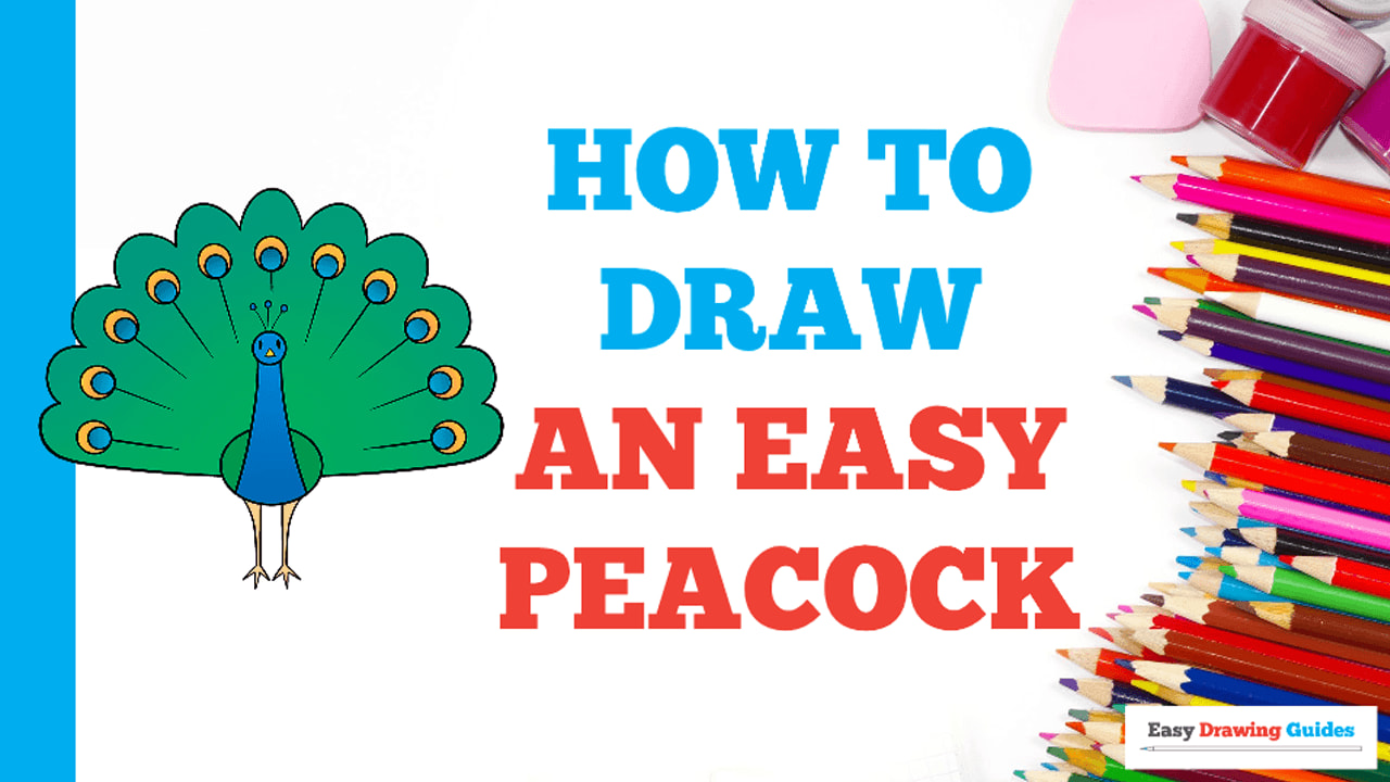 how to draw national bird
