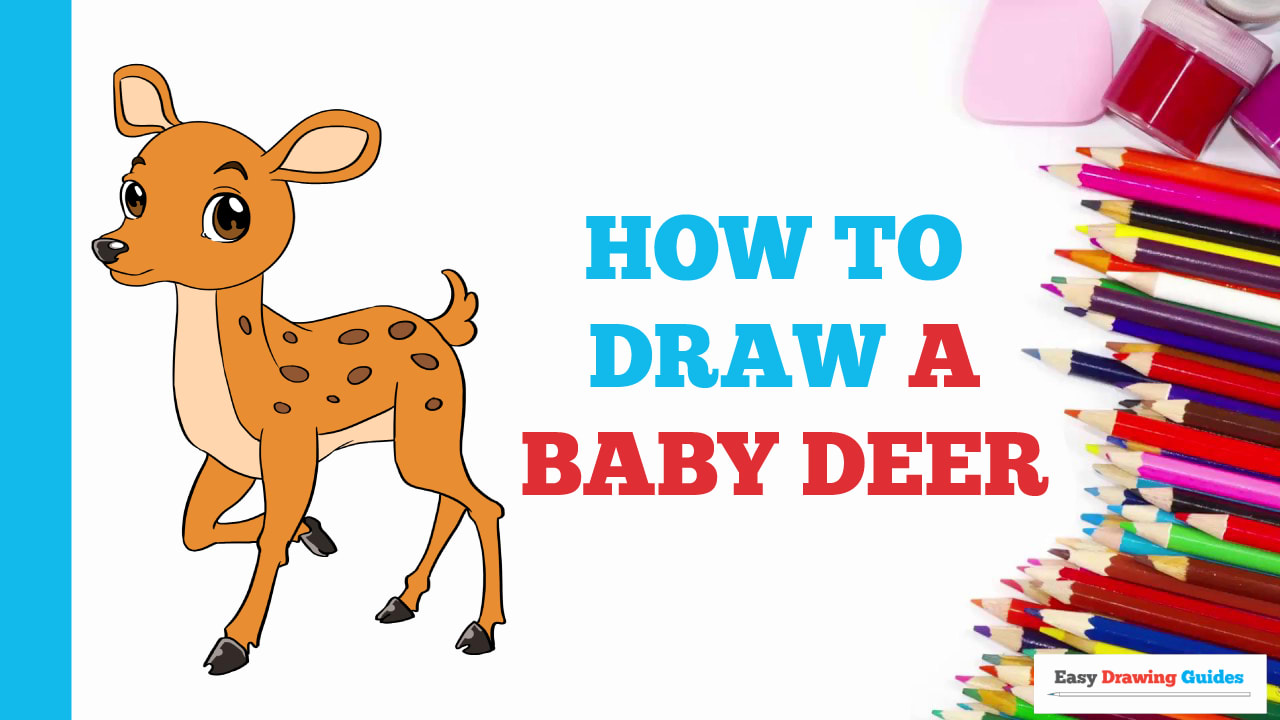 how to draw baby deer