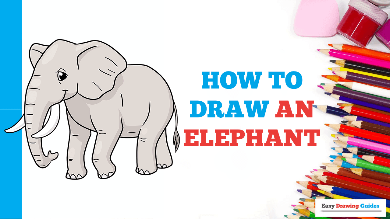 how to draw elephant video download