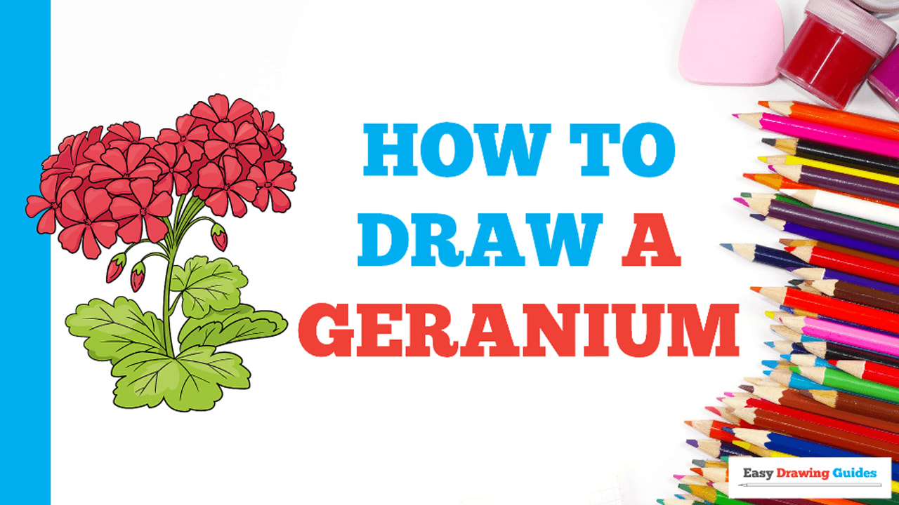 how to draw geranium leaves