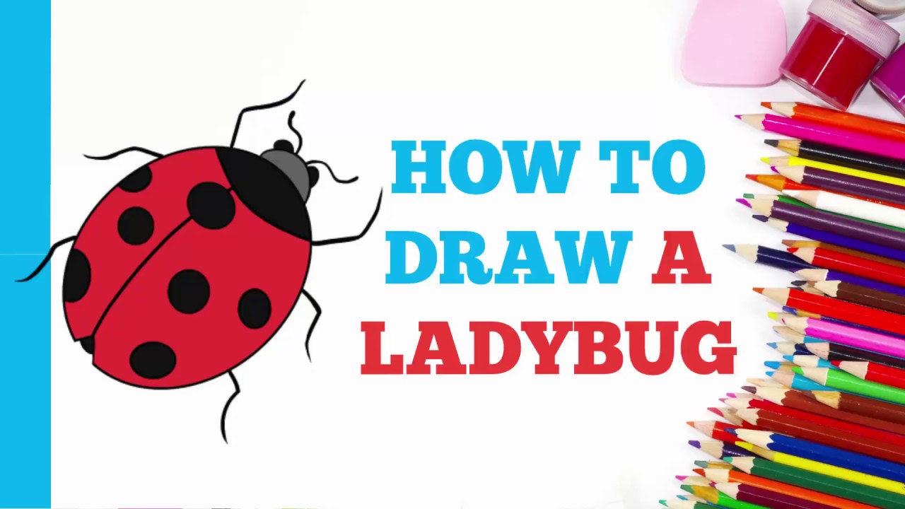 ladybug drawing easy