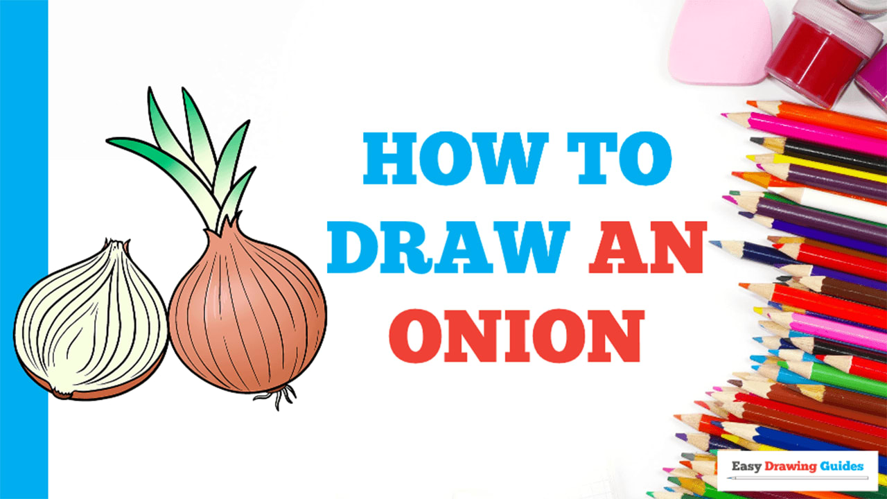 how to draw onion