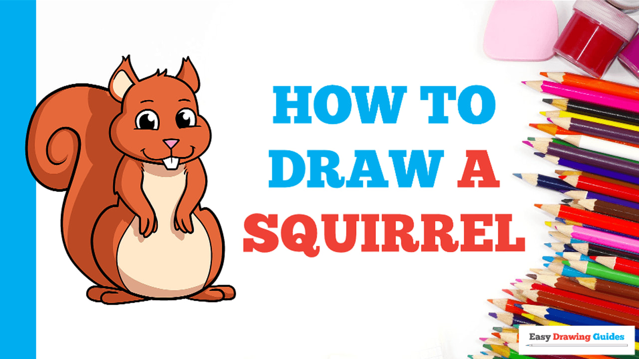 squirrel drawing easy small