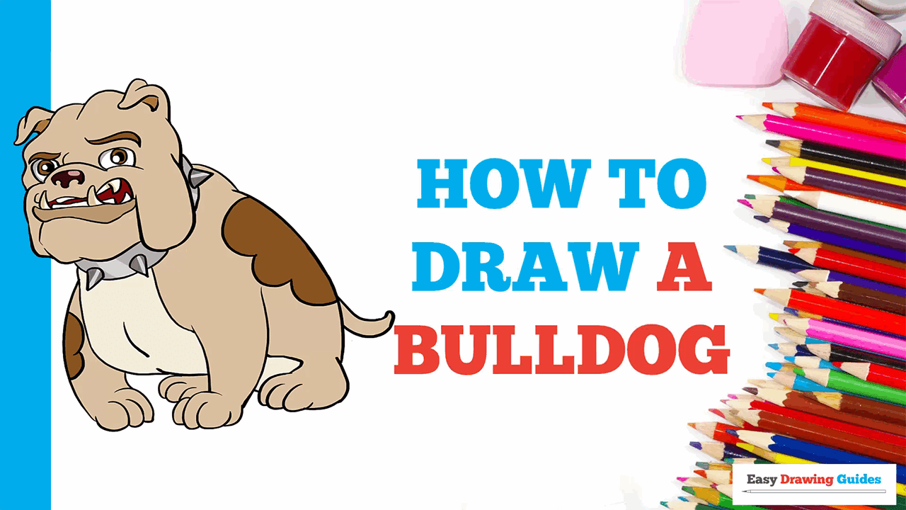 bulldog drawing tutorial