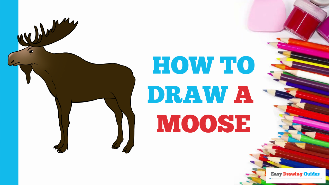 moose drawing easy