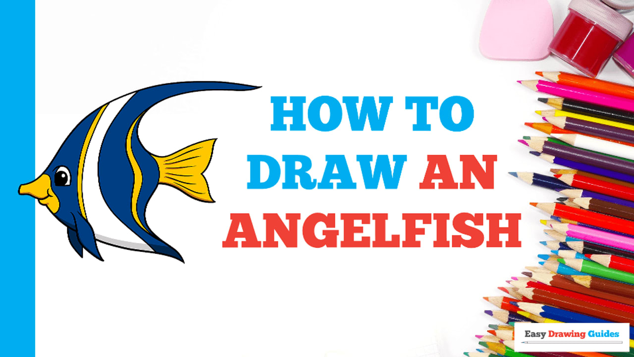 angelfish drawing easy