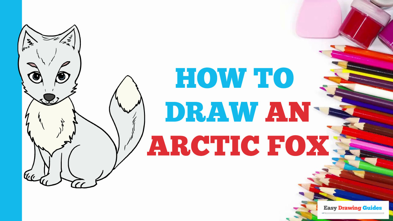 how to draw a polar fox