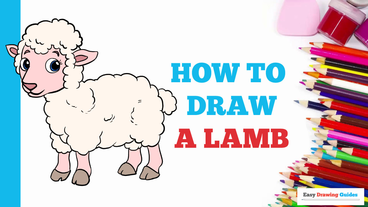 how to draw baby lamb