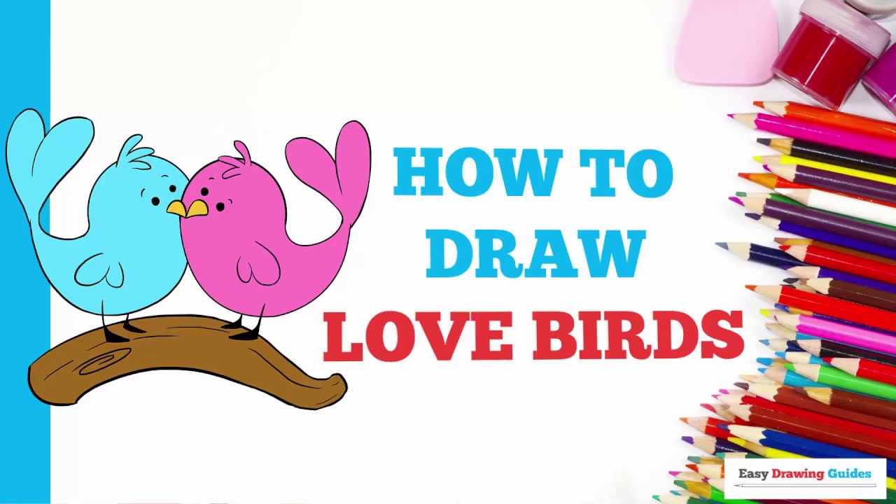 how to draw love birds easy