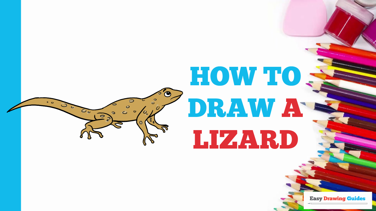 simple lizard drawing